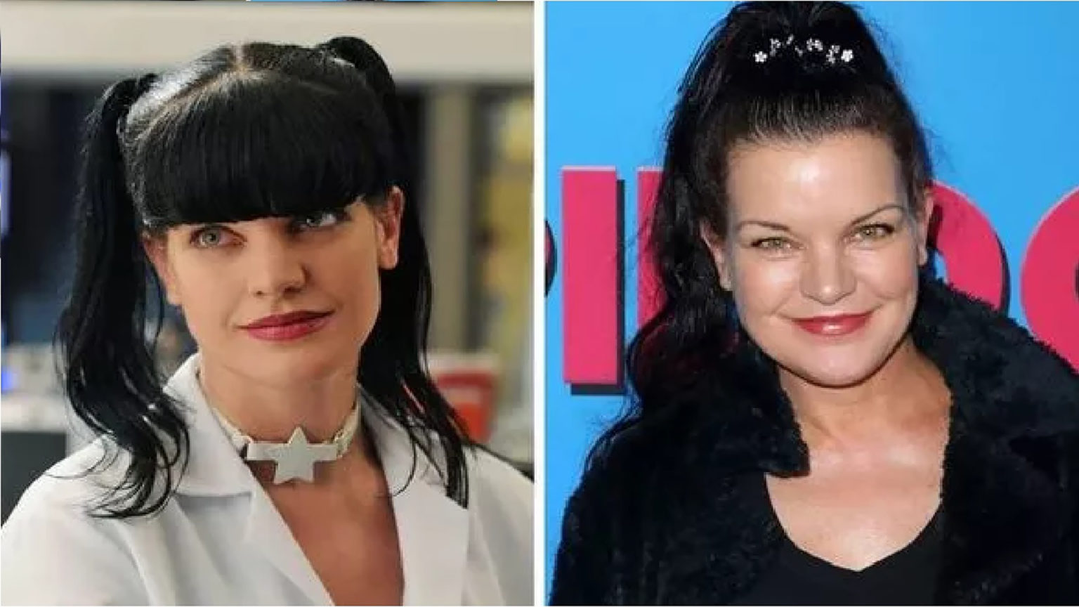 NCIS: Where is Pauley Perrette, Who Played Abby Sciuto on The Show..? – Curious World