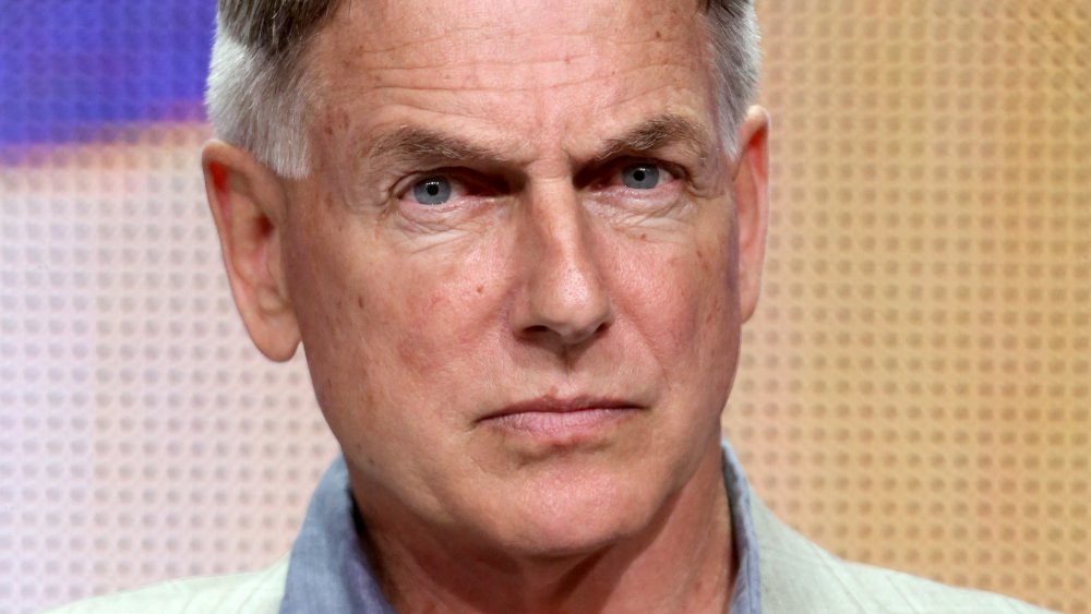 The Untold Truth of Mark Harmon – Curious World
