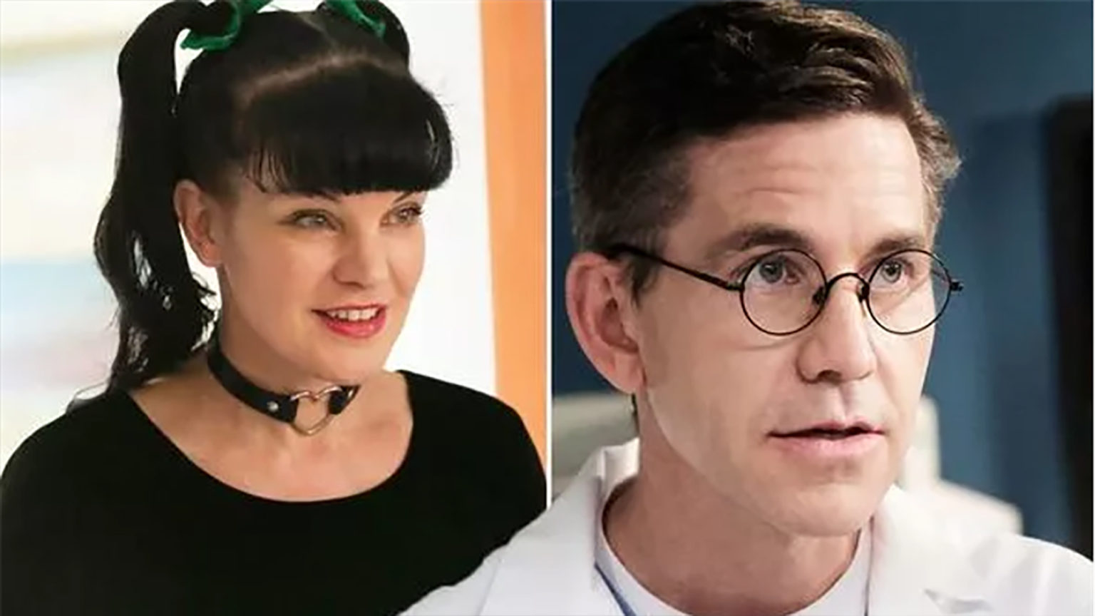 Ncis Jimmy Palmer Star Reaches Out To Pauley Perrette As She Makes Heartbreaking Plea Curious