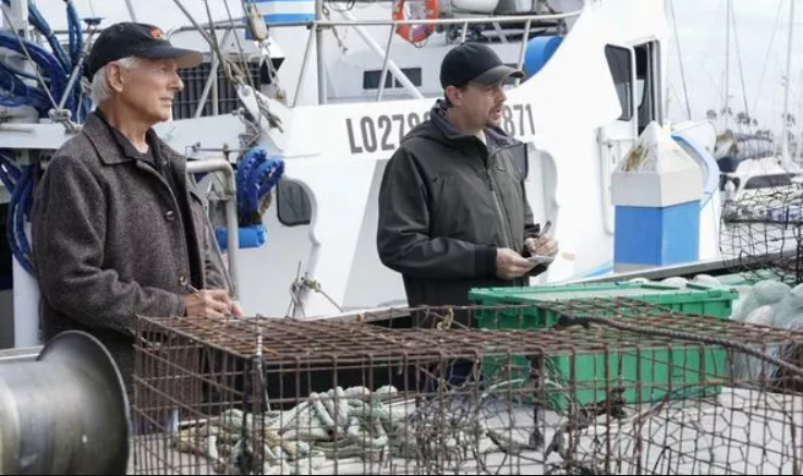 NCIS Season 20: Will The Show Be Canceled With Mark Harmon’s Departure ...