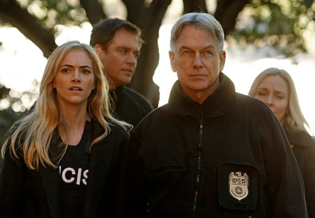 Before Joining NCIS, Emily Wickersham Had Never Done This One Thing ...
