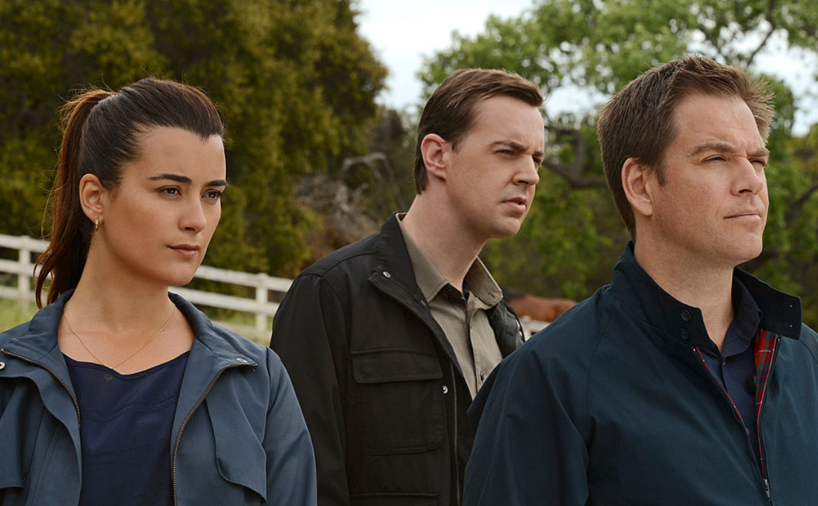 Cote de Pablo, an Alum of ‘NCIS,’ Performed Her Own Stunts on The Show ...