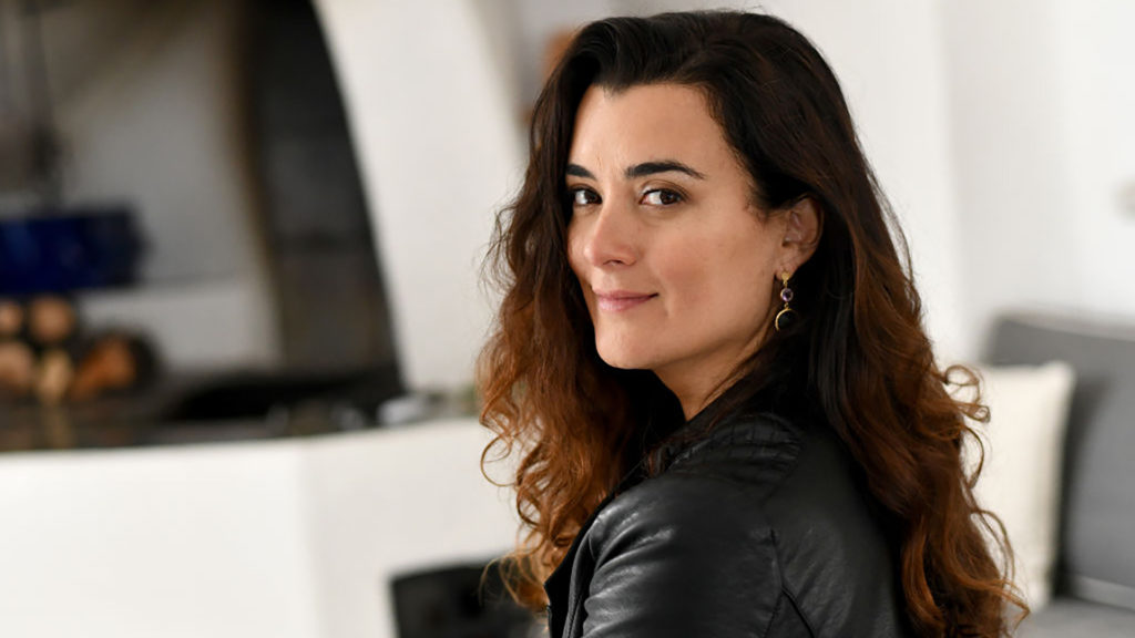 NCIS: Ziva David’s Last Appearance on the Show and What Happened to Her ...