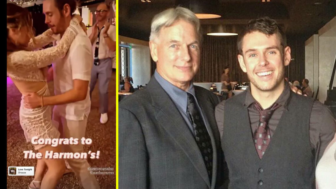 Sean Harmon, son of NCIS star Mark Harmon, Marries – See the First Look at the Lavish Wedding ...