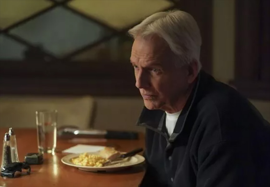 NCIS Fans Are Overjoyed After Spotting A Sweet Gibbs Nod in the Latest ...