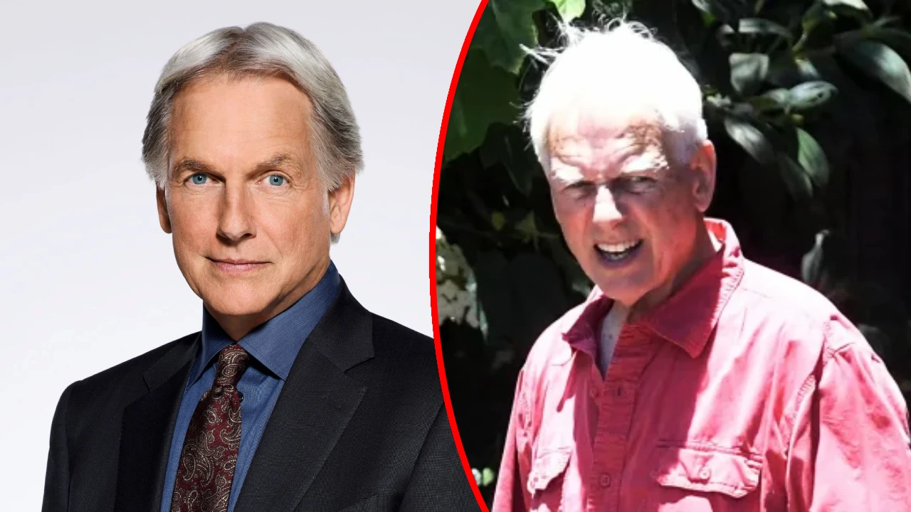 NCIS Star Mark Harmon, 72, Looks Radically Different 21 Years After ... NCIS Star Mark Harmon, 72, Looks Radically Different 21 Years After ...